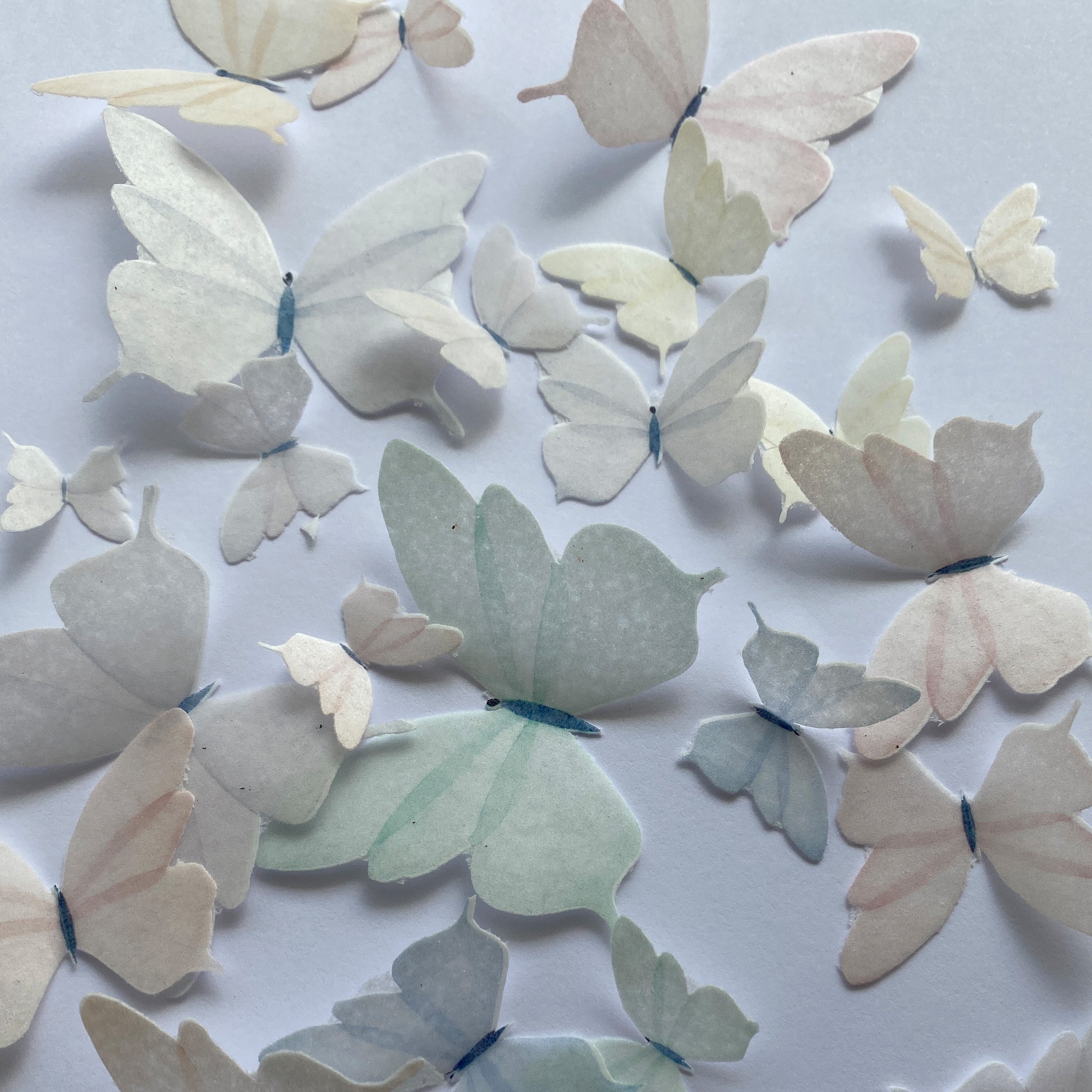 Multicoloured Pastel Pre-cut Edible Wafer Butterflies – Deezee Designs