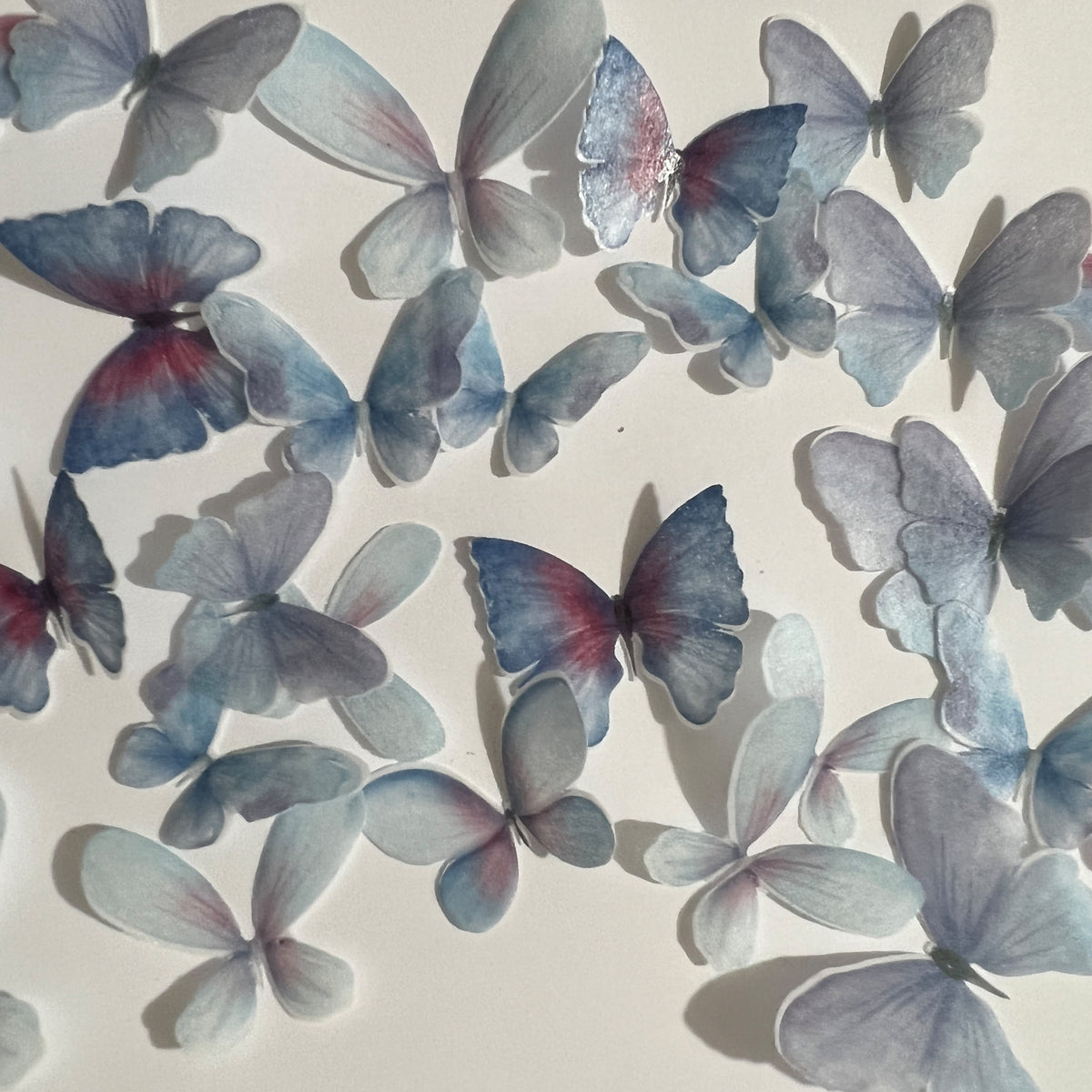 Purple & Blue Pre-cut Edible Wafer Butterflies – Deezee Designs