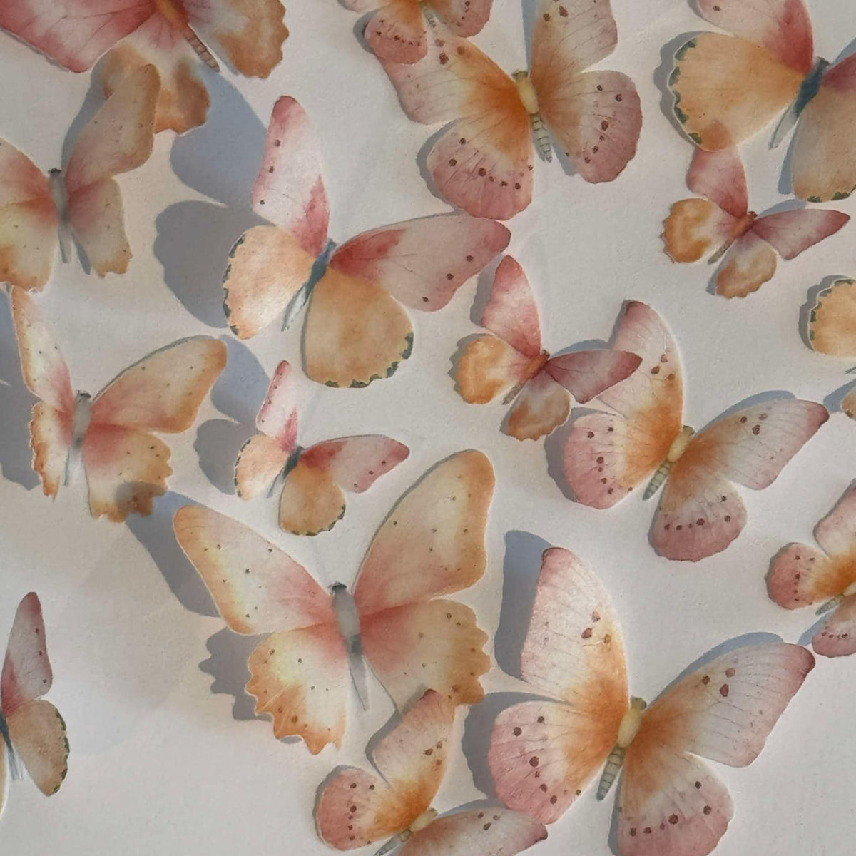 Pale Pastel Pink Pre-cut Edible Wafer Paper Butterflies in Mandurah ...