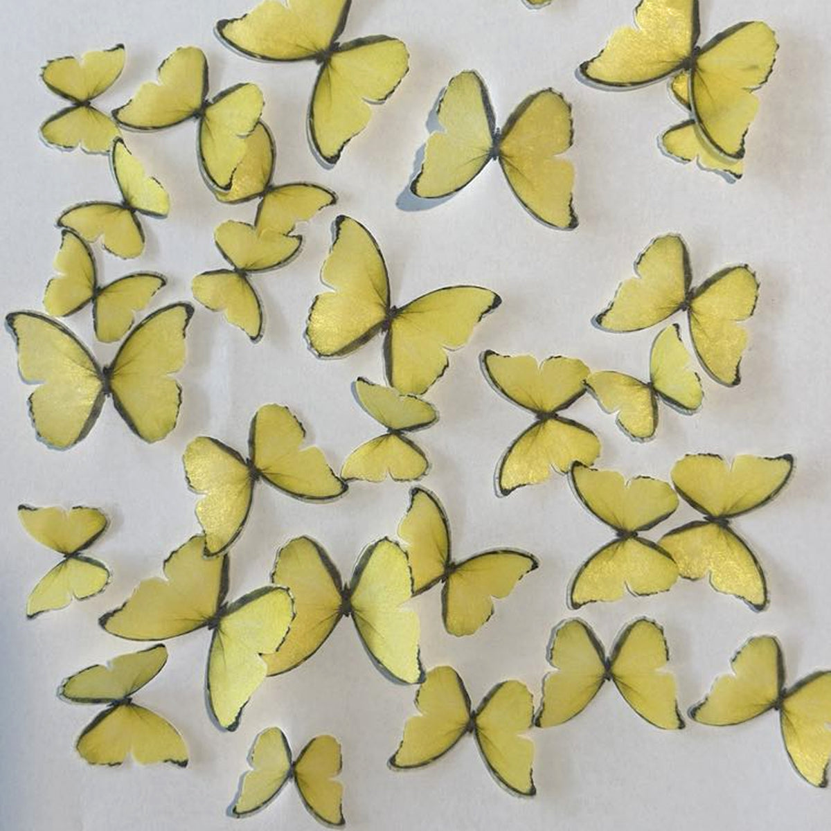 Mixed Coloured Pre-cut Edible Wafer Butterflies in Mandurah and Perth ...