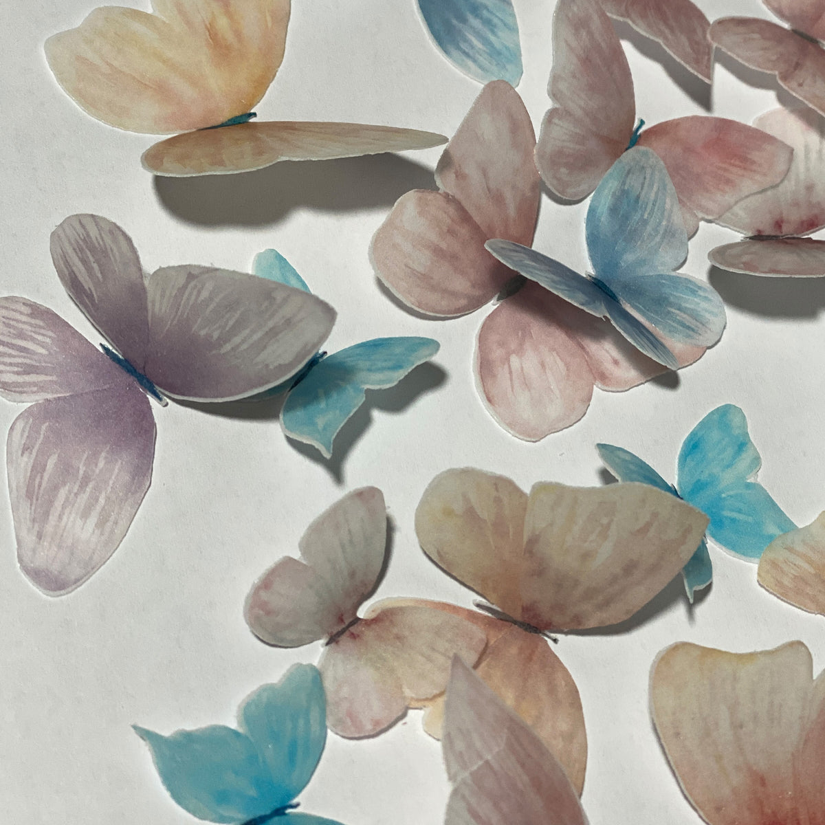 Multi-coloured Pre-cut Edible Wafer Butterflies – Deezee Designs