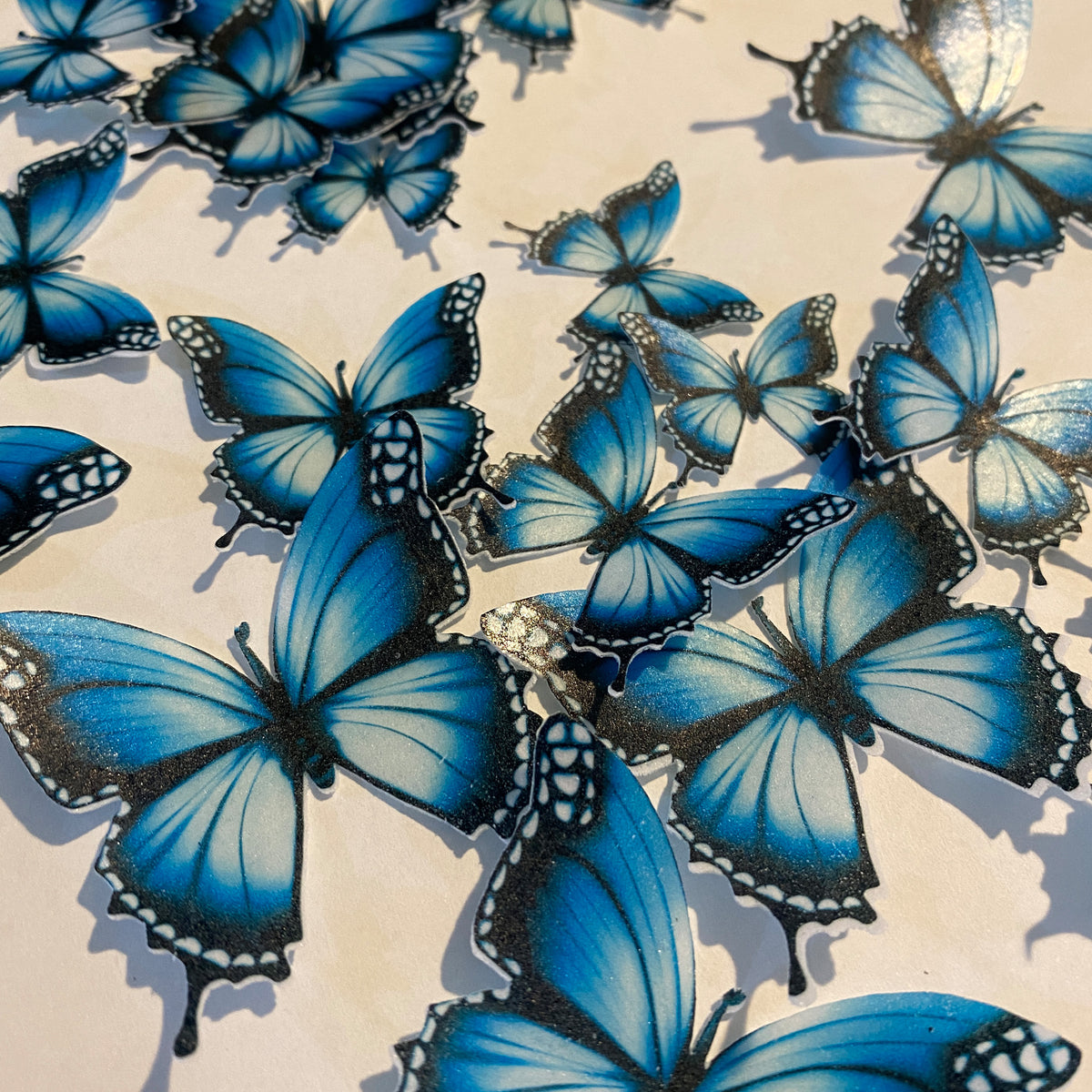 Blue & Black Pre-cut Edible Wafer Butterflies – Deezee Designs