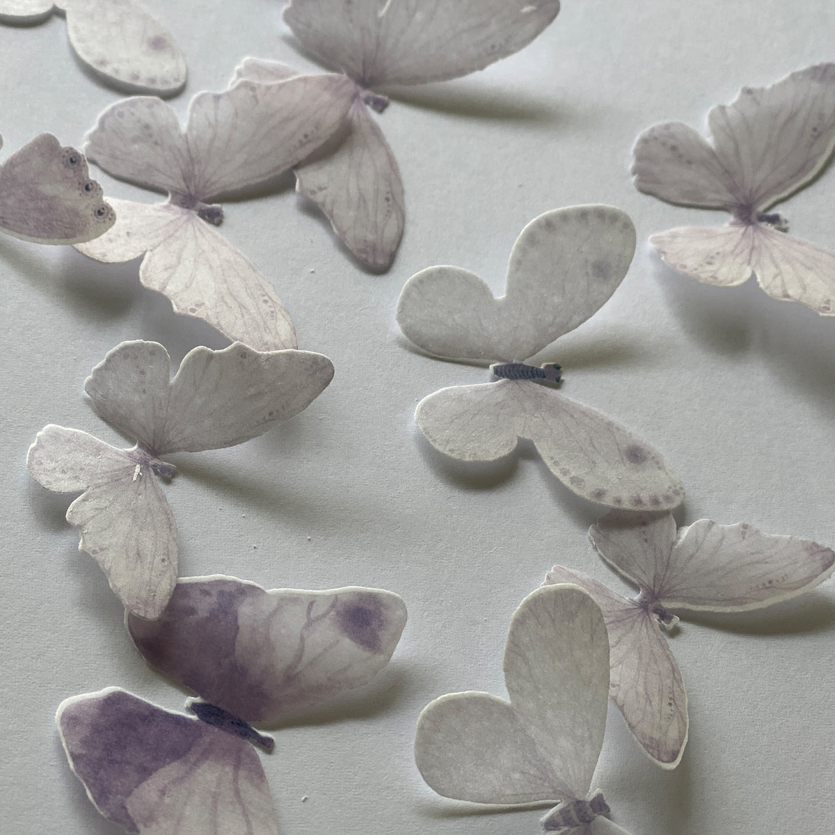 Light Purple Pre-cut Edible Wafer Butterflies – Deezee Designs