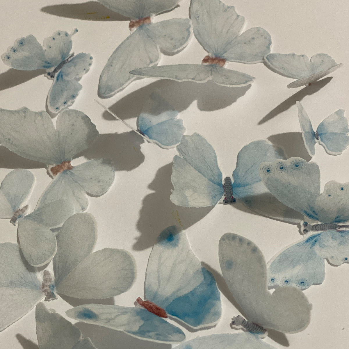 Light Blue Pre-cut Edible Wafer Butterflies – Deezee Designs